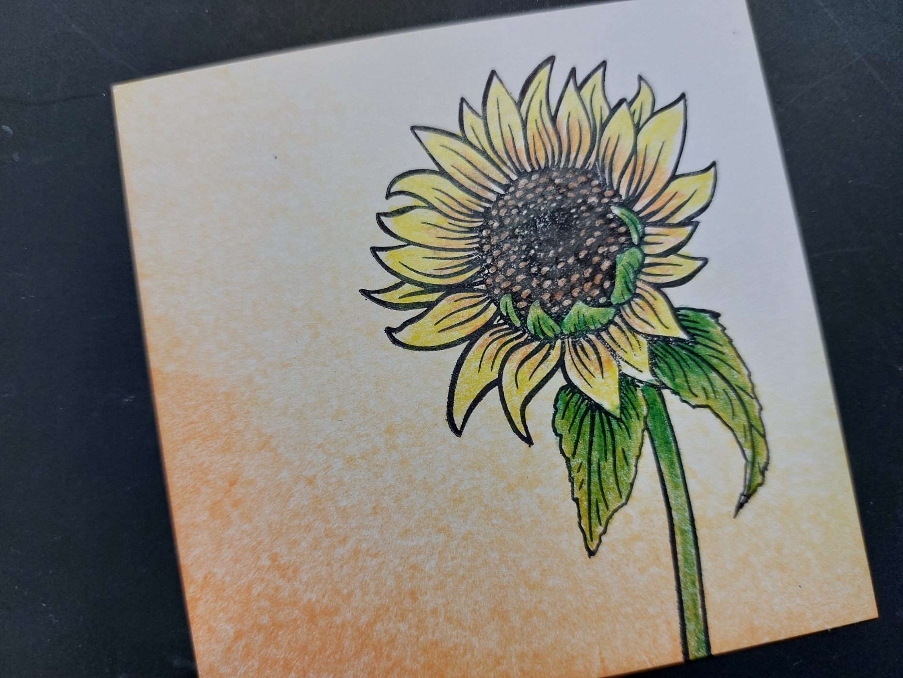 Sunflower day – Deborah's Crafty Blog